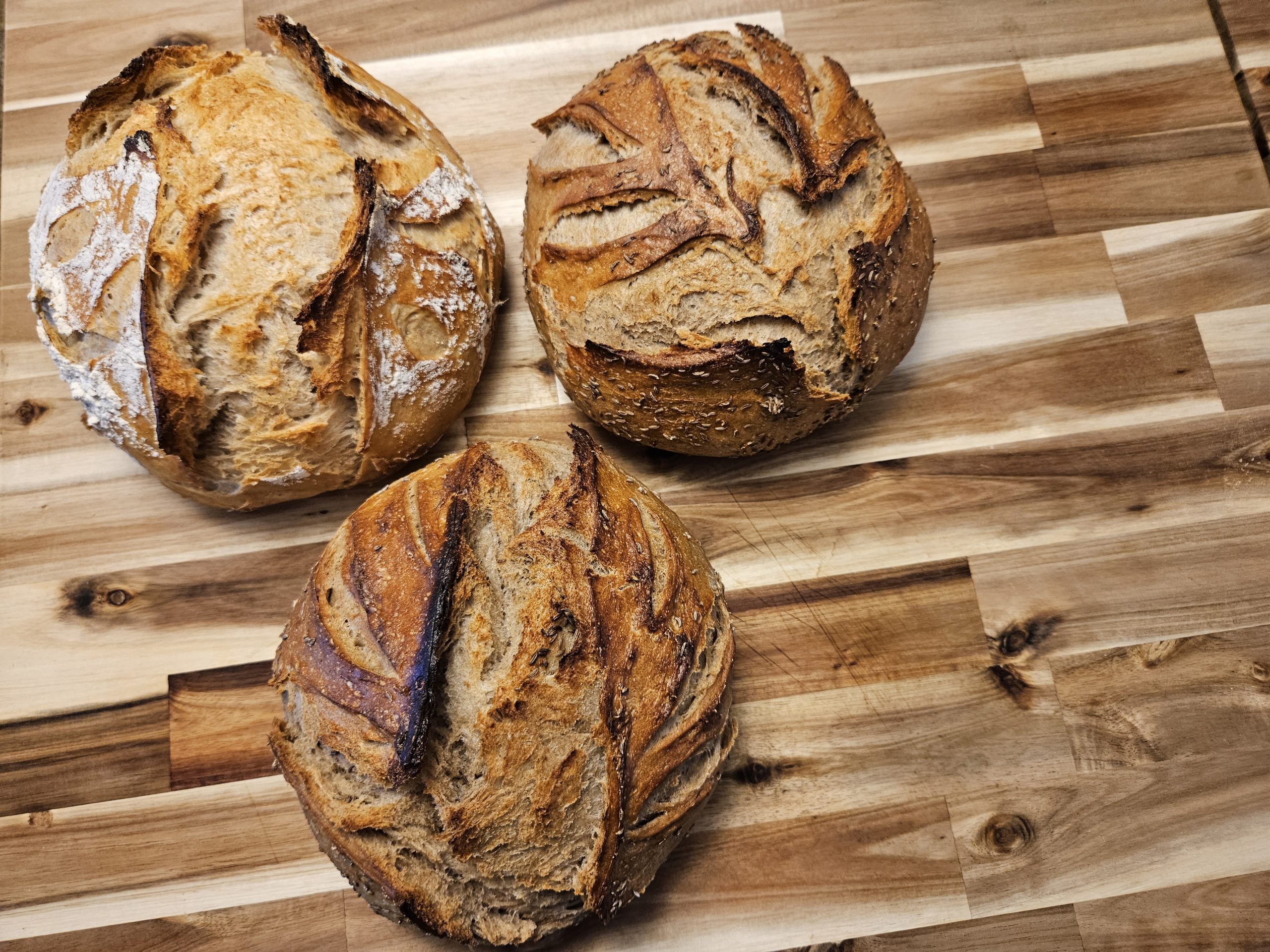 SourBread – Plato Dale Farm